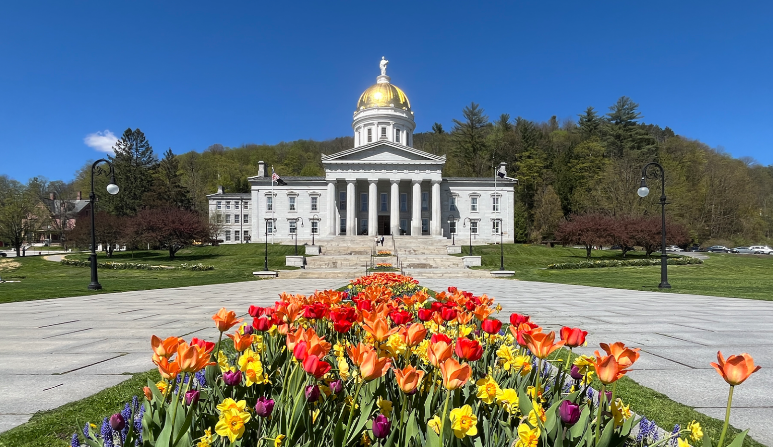 Home | National Conference on Citizenship